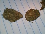 some FIRE reggie.. | Grasscity.Forum|The World’s Largest Cannabis ...