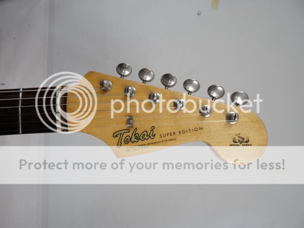 tokai st 50 super edition | Tokai & Japanese Guitar Forum